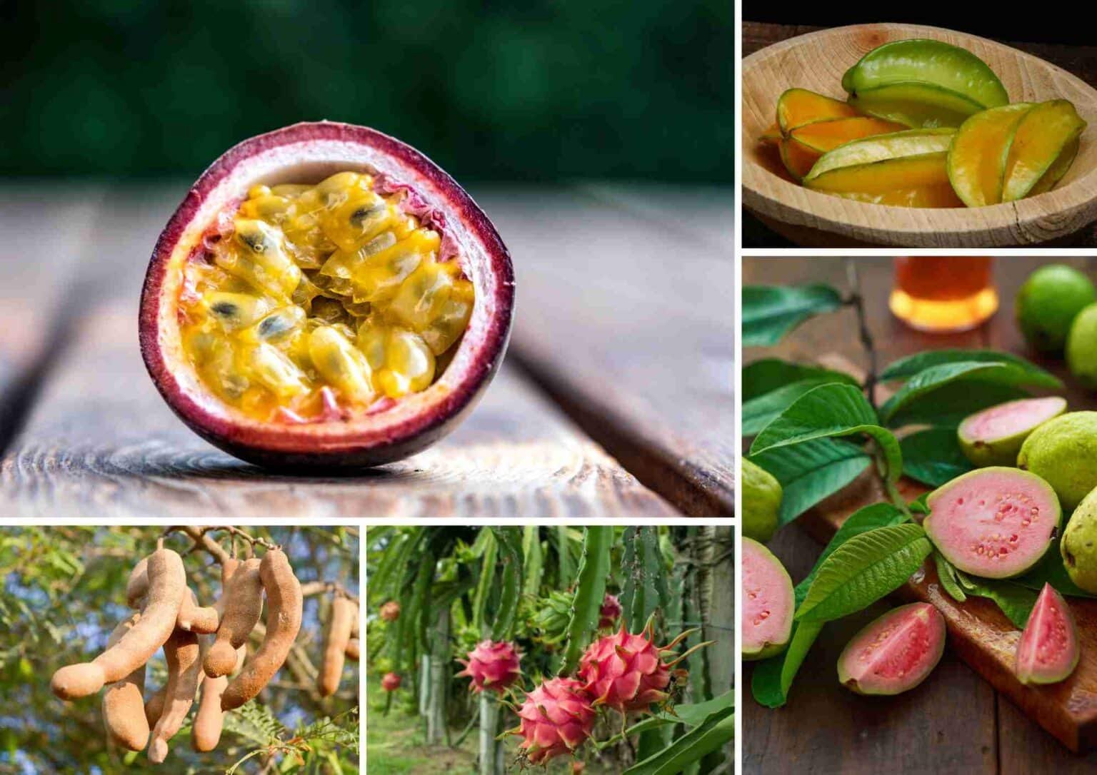 Les 16 fruits exotiques à découvrir à l'Ile Maurice